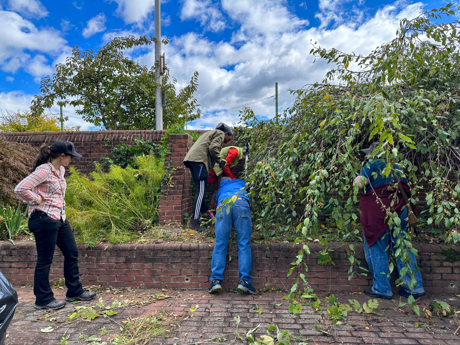 Seton Hill – A Historic Neighborhood in Baltimore, MD
