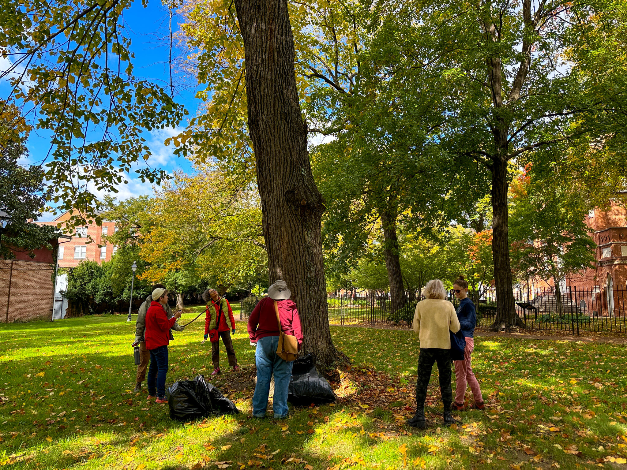 Seton Hill – A Historic Neighborhood in Baltimore, MD
